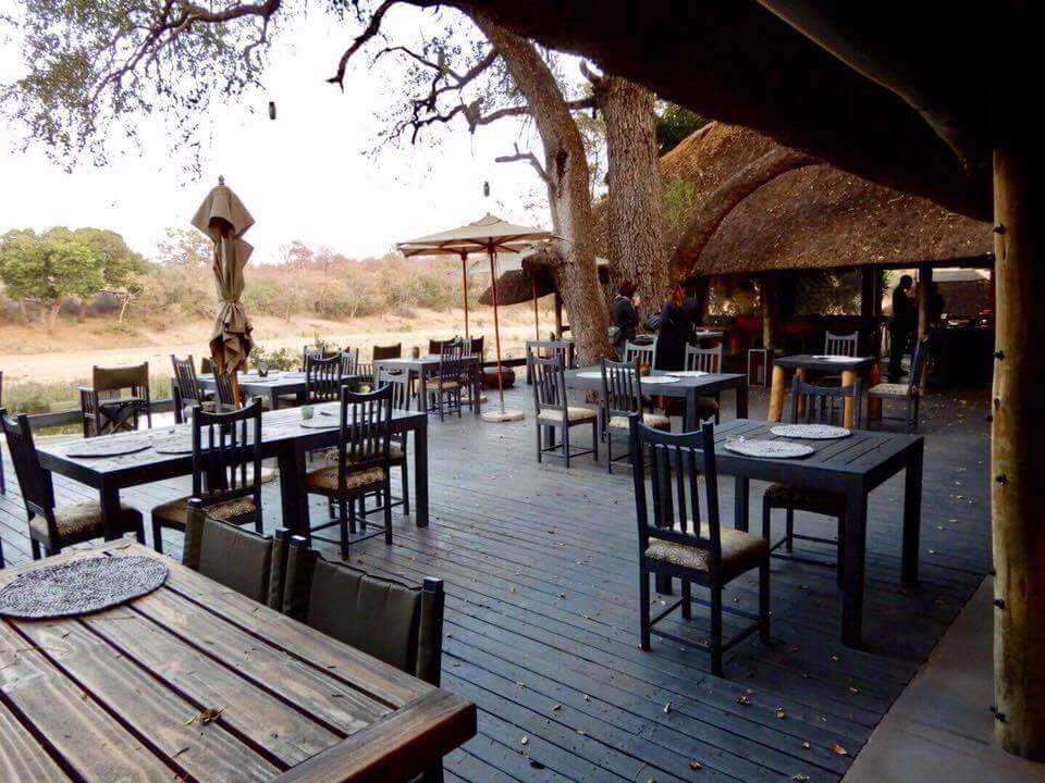 Ultimate South African Safari Guide for Beginners - World Wide Honeymoon