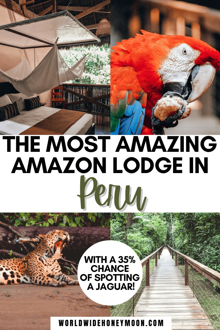 The Best Peru Amazon Lodge: Tambopata Research Center - World Wide ...