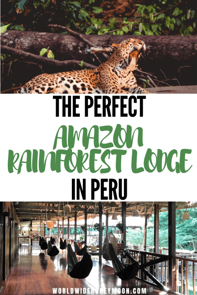 The Best Peru Amazon Lodge: Tambopata Research Center - World Wide ...