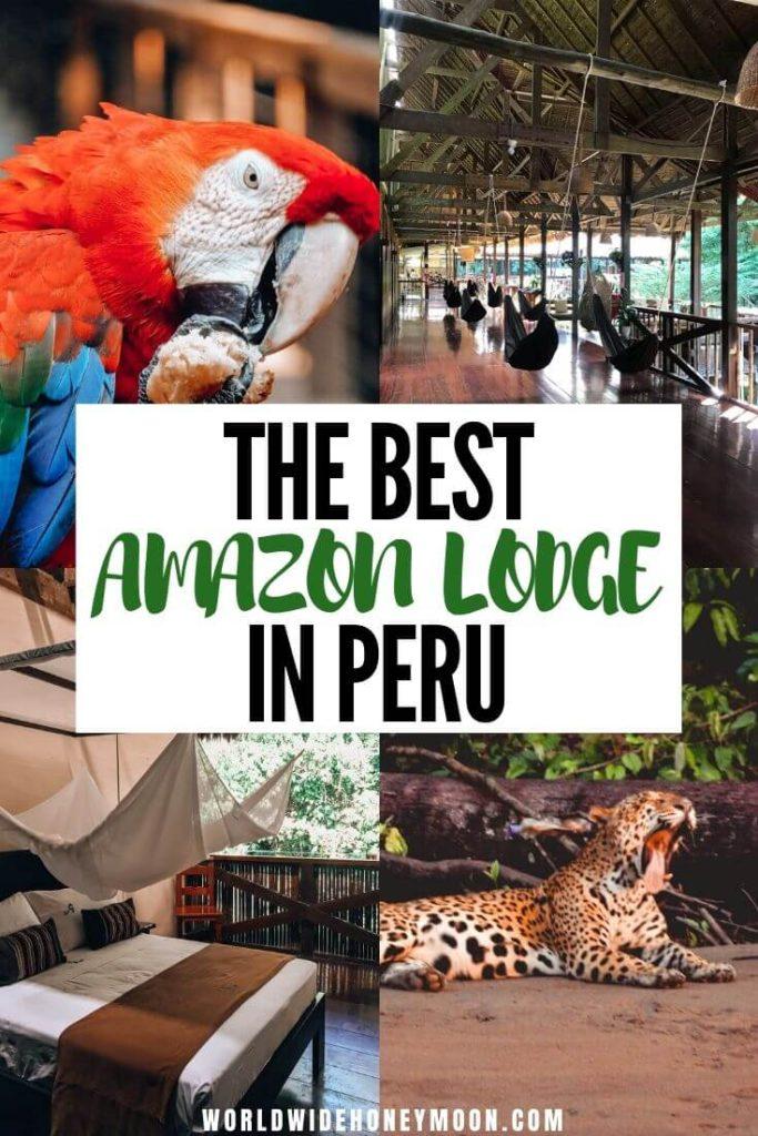 The Best Peru Amazon Lodge: Tambopata Research Center - World Wide ...