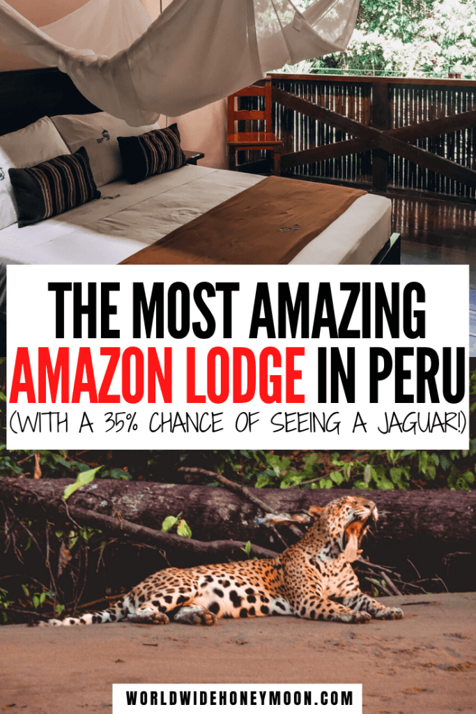 The Best Peru Amazon Lodge: Tambopata Research Center - World Wide ...