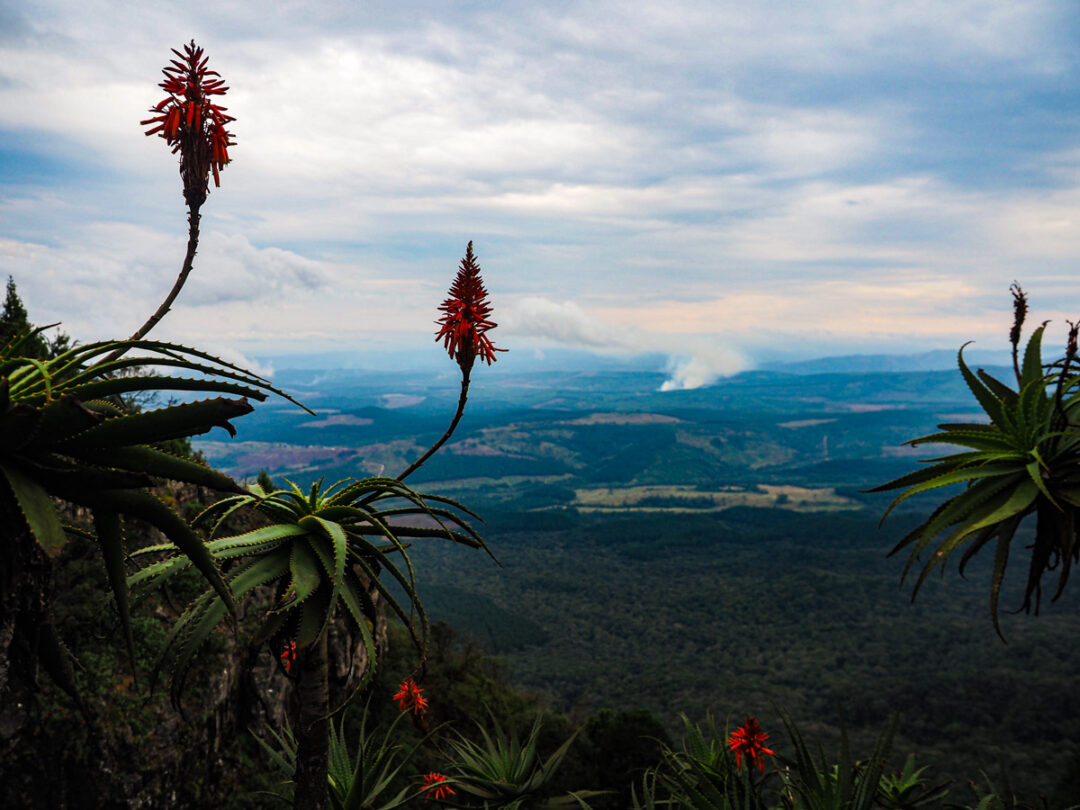 Only Panorama Route Itinerary in 1 Day You’ll Ever Need - World Wide ...