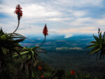 Only Panorama Route Itinerary in 1 Day You’ll Ever Need - World Wide ...