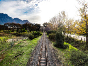 Ultimate Franschhoek Wine Tram Guide: Best Route, When to Visit, and ...