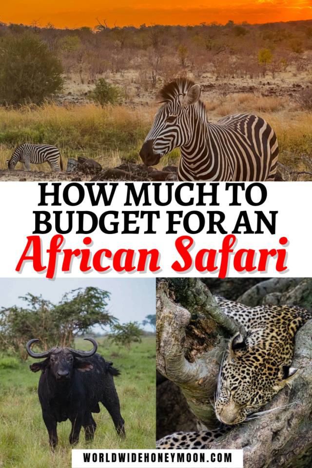 How Much Does An African Safari Cost? - World Wide Honeymoon
