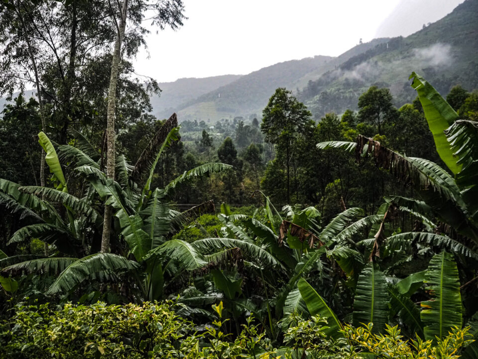 Only Uganda Itinerary in 10 Days You Need - World Wide Honeymoon