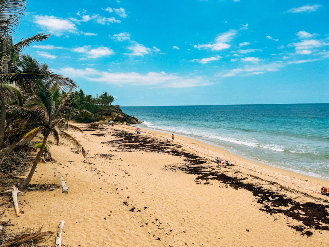 21 Best Things to Do in Rincon Puerto Rico - World Wide Honeymoon