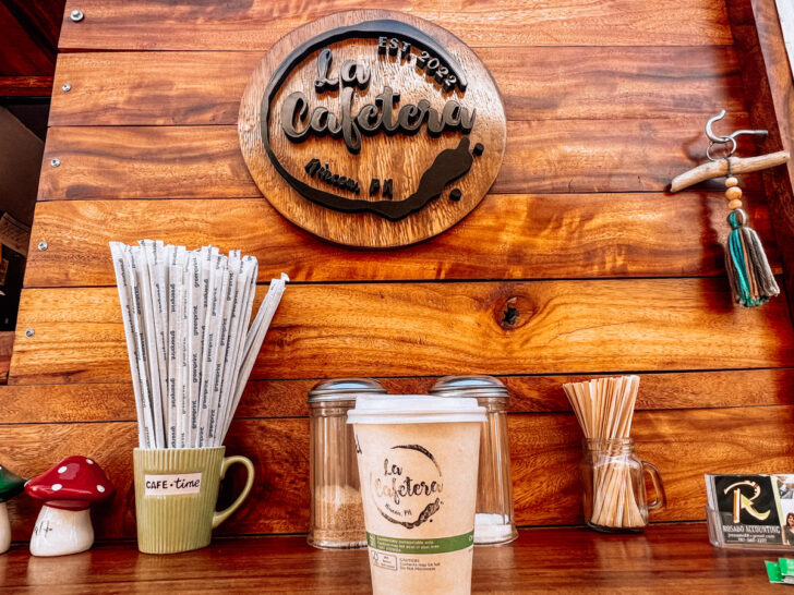 21 Best Things to Do in Rincon Puerto Rico - World Wide Honeymoon