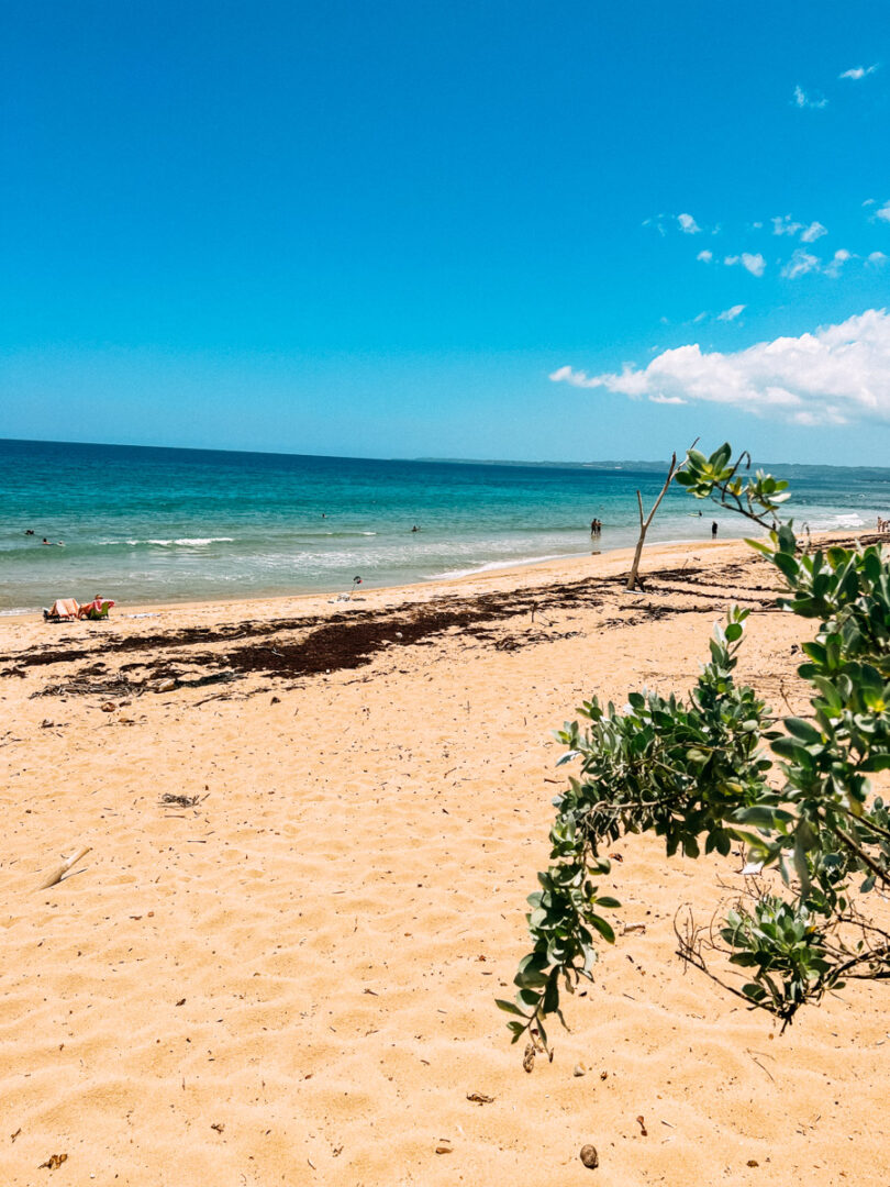 21 Best Things to Do in Rincon Puerto Rico - World Wide Honeymoon